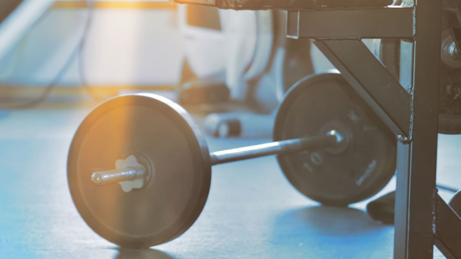 SPLENET - Gym Shop – Splenet